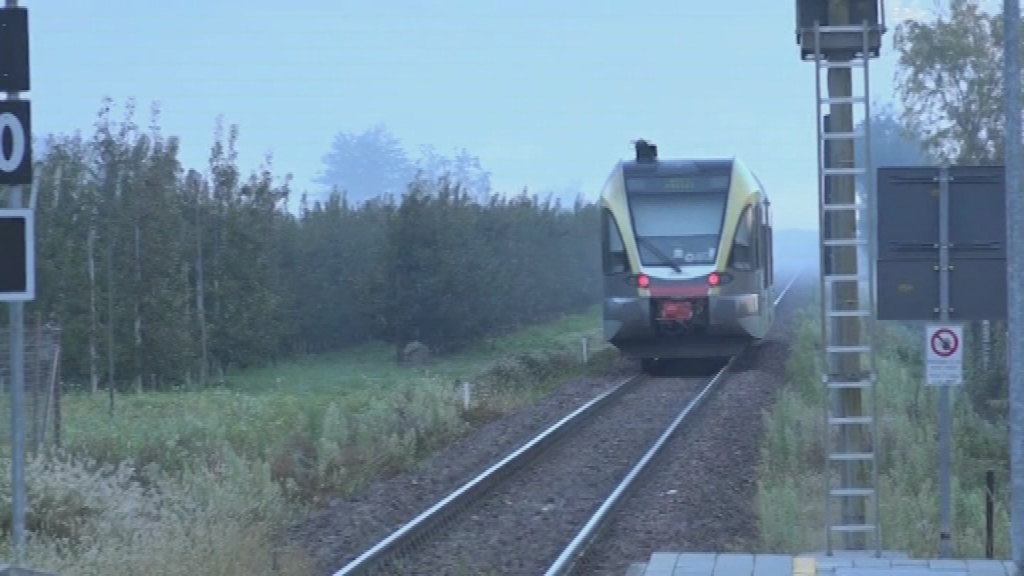Treno delle Dolomiti, ipotesi e scadenze – Telebelluno
