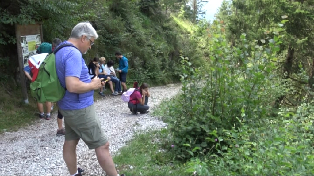 Turisti attratti dal sentiero botanico di Laggio di Cadore – Telebelluno