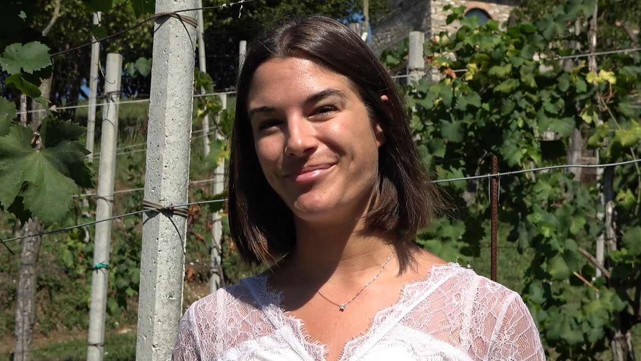 Setteville – Segusino, parole e immagini dal Basso Feltrino – Settembre ...