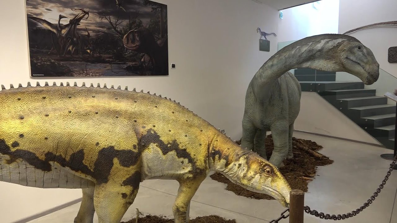 Record di presenze per i dinosauri di Selva di Cadore – Telebelluno Record di presenze per i dinosauri di Selva di Cadore – Telebelluno