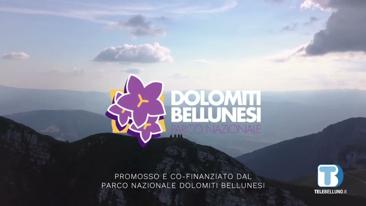 Il Parco Dolomiti Bellunesi si prepara a celebrare il trentennale ...