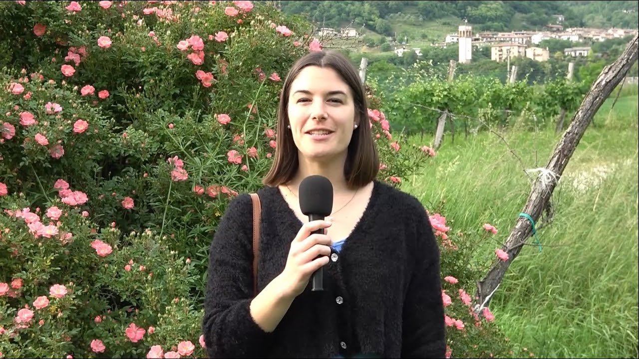 Setteville e Segusino, parole e immagini dal Basso Feltrino – Giugno ...