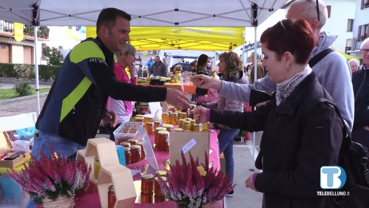 Più giornate e il ritorno del concorso: da venerdì a Limana torna la ...