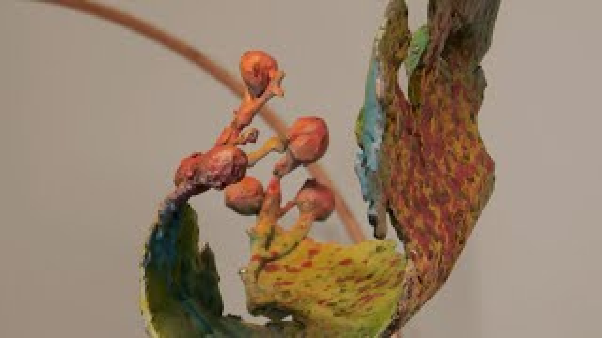 “Le Melusine” ora esposte a Palazzo Crepadona – Telebelluno